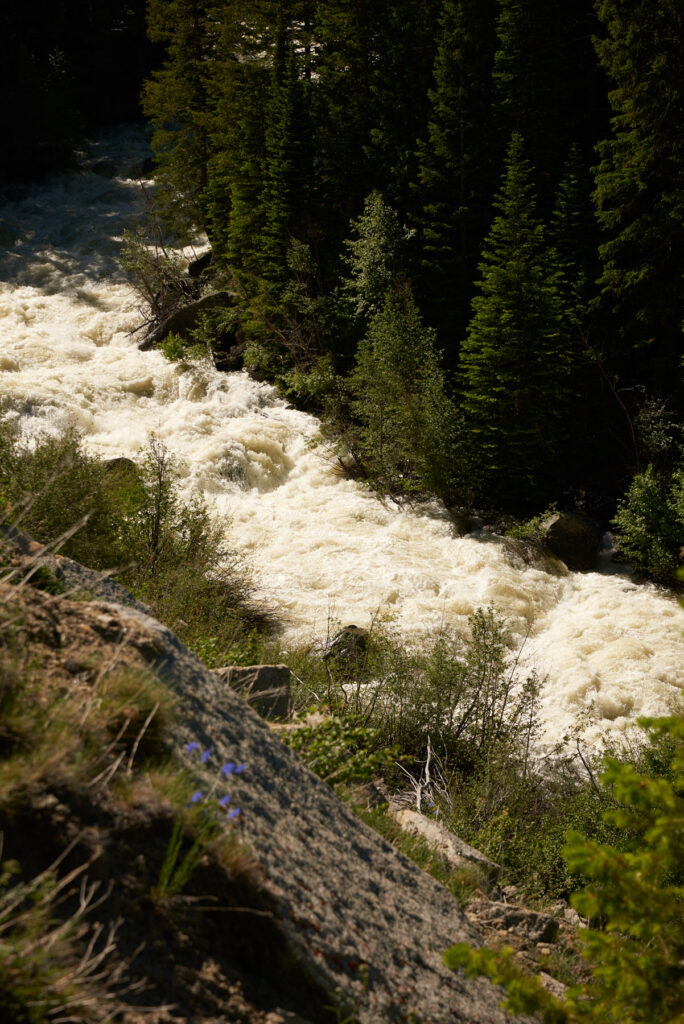 The Unknown River - Photo Collective