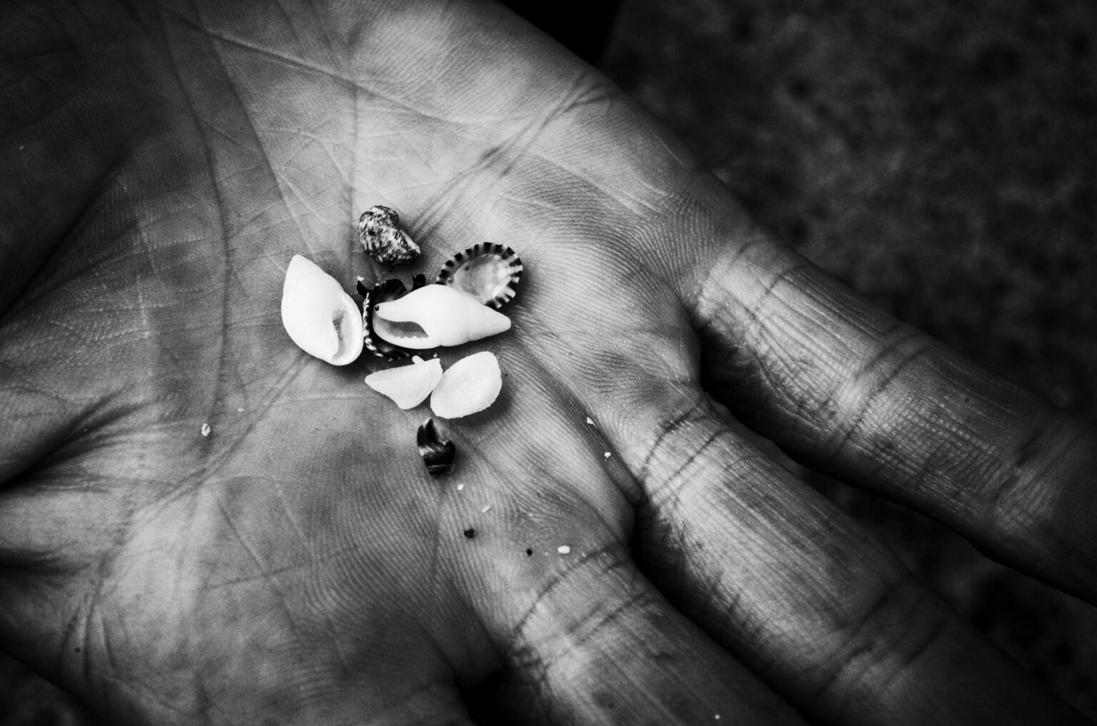 Fragments of Consciousness - Photo Collective