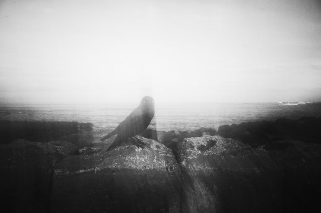 Fragments of Consciousness - Photo Collective