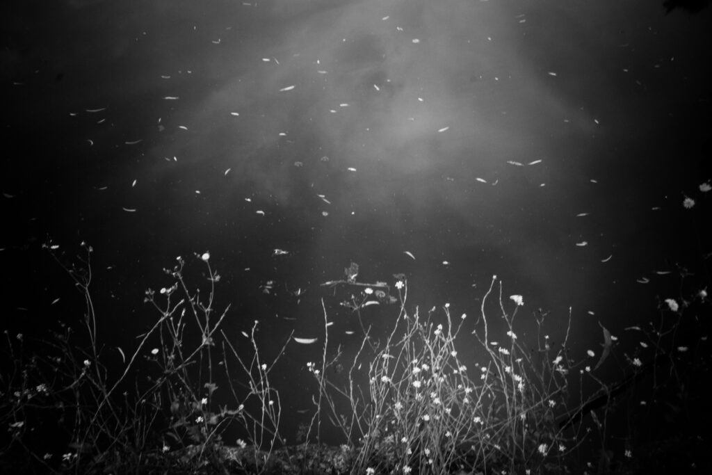 Fragments of Consciousness - Photo Collective