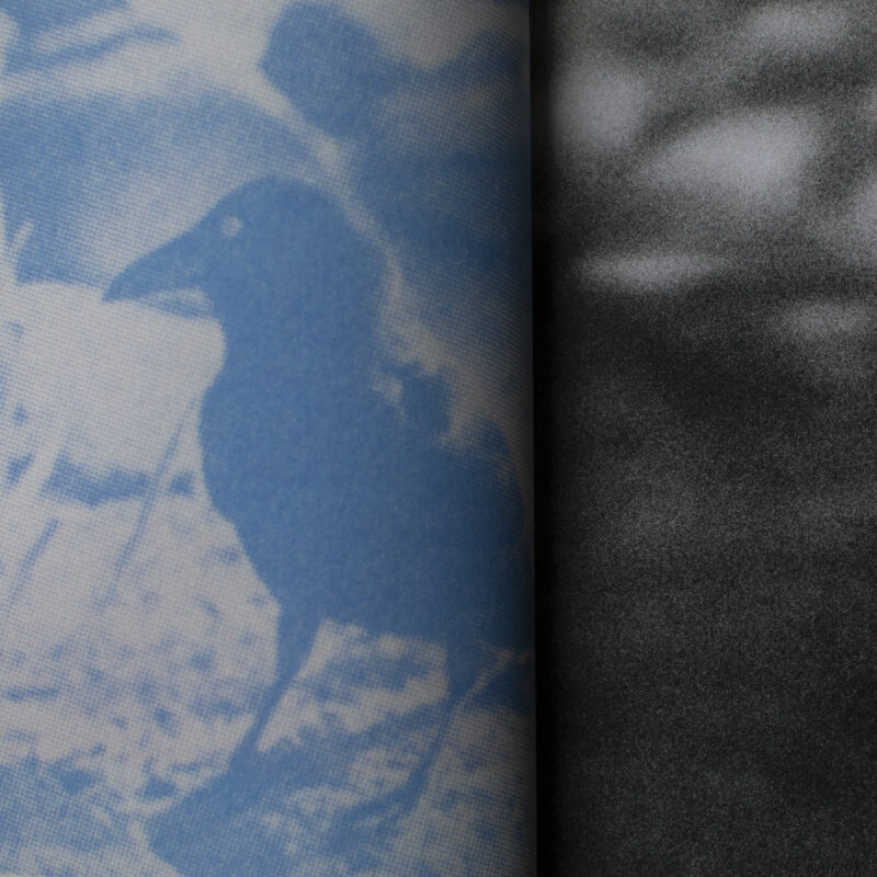 Australian Photobook Awards - Photo Collective