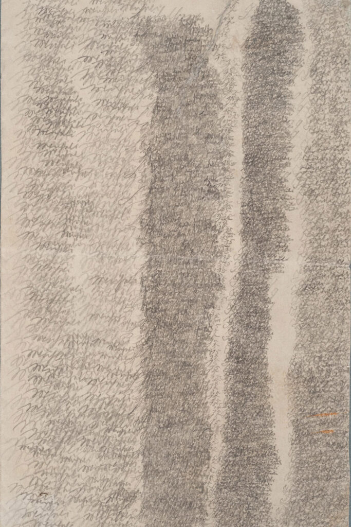 Nanouk Prins - Empty Forest - Photo Collective