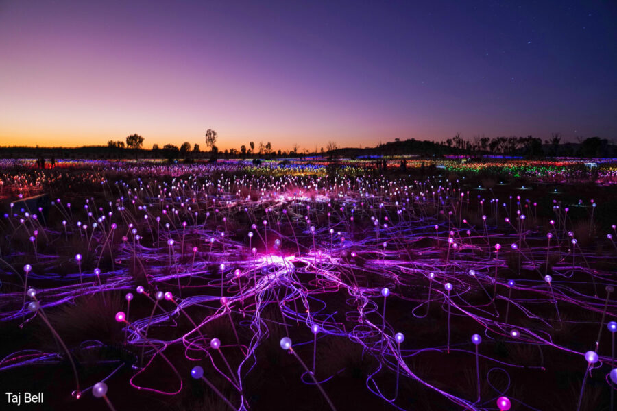 Australian Photography Awards - Photo Collective