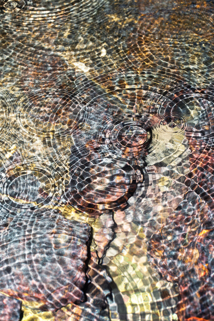 Salt Frames - Photo Collective