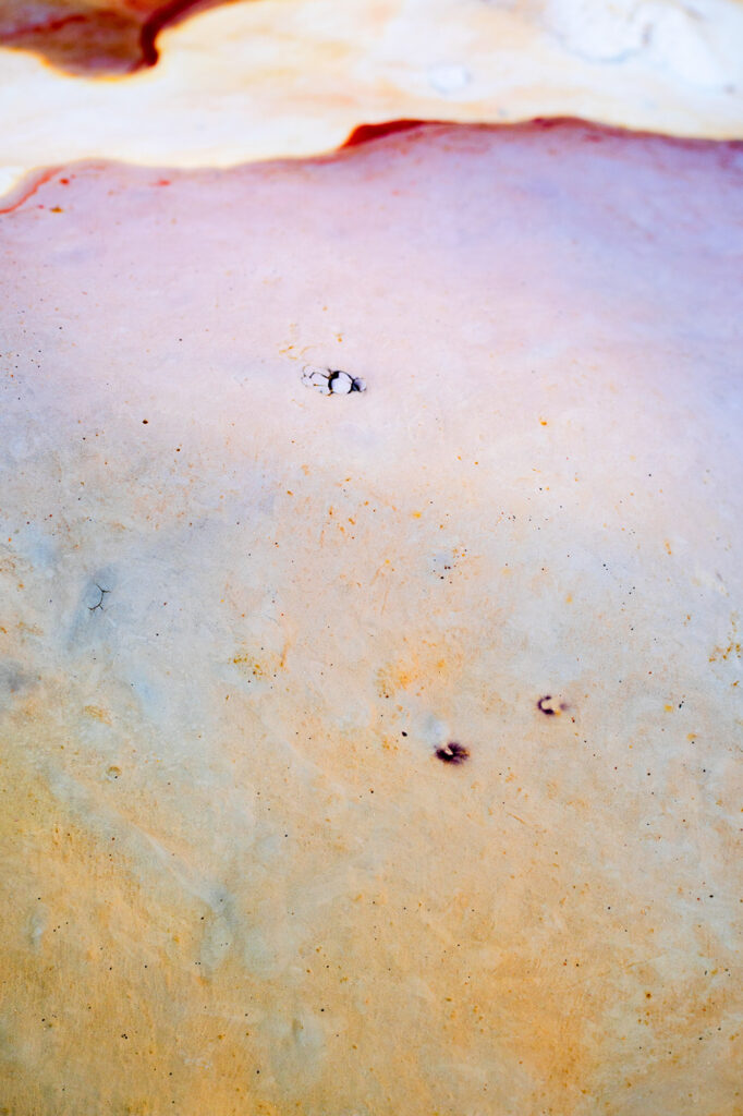 Salt Frames - Photo Collective